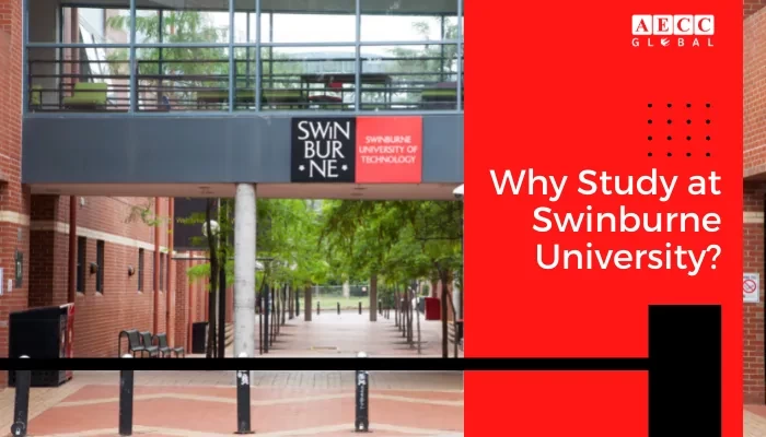 Why Study at Swinburne University? Rankings & Facilities - AECC Global